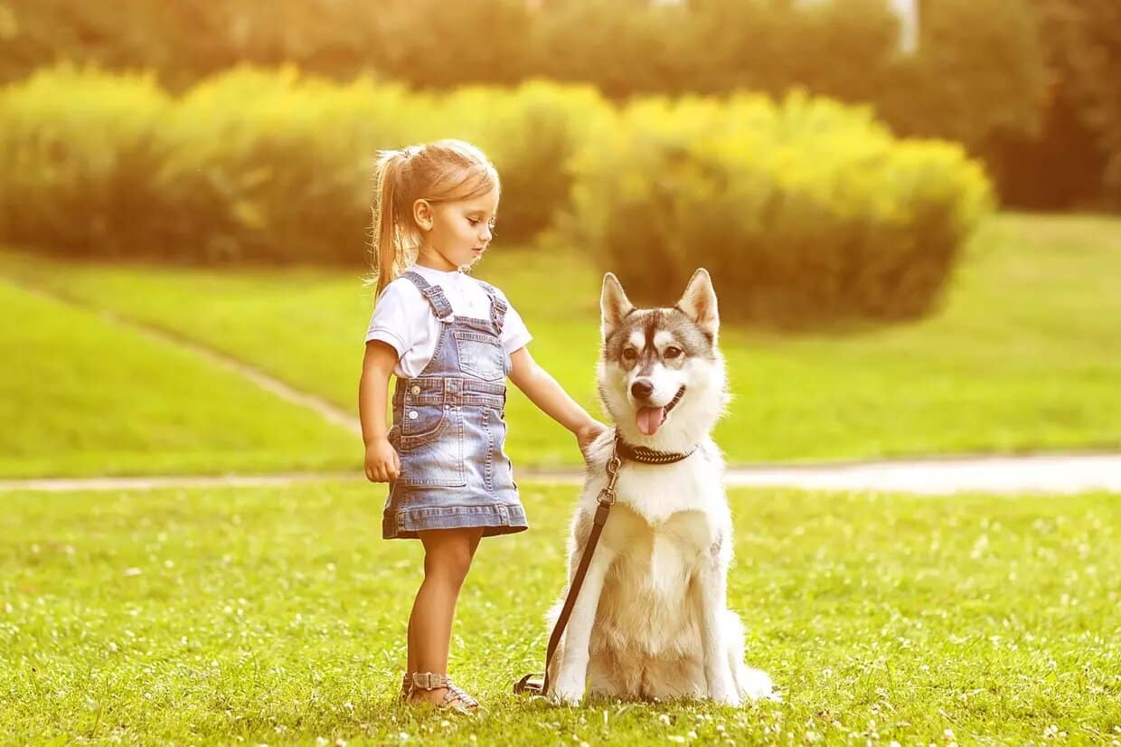 Animal de compagnie pour un enfant : lequel choisir ? - Les Chiens ne ...